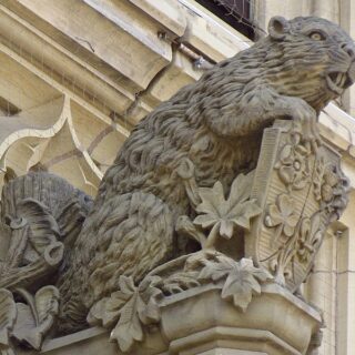 Speed Limit - Gamechuck Home